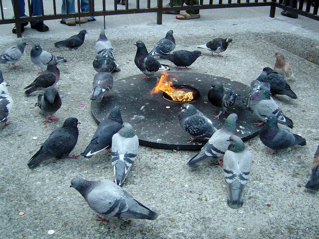 RoverPi v3 Object Detection Dataset by Rodent detection